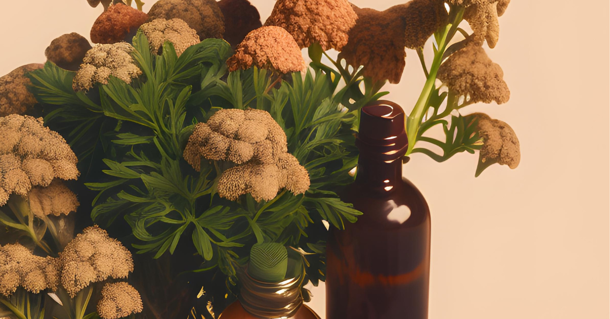 The Definitive Guide to Natural Nootropics – Tonicc