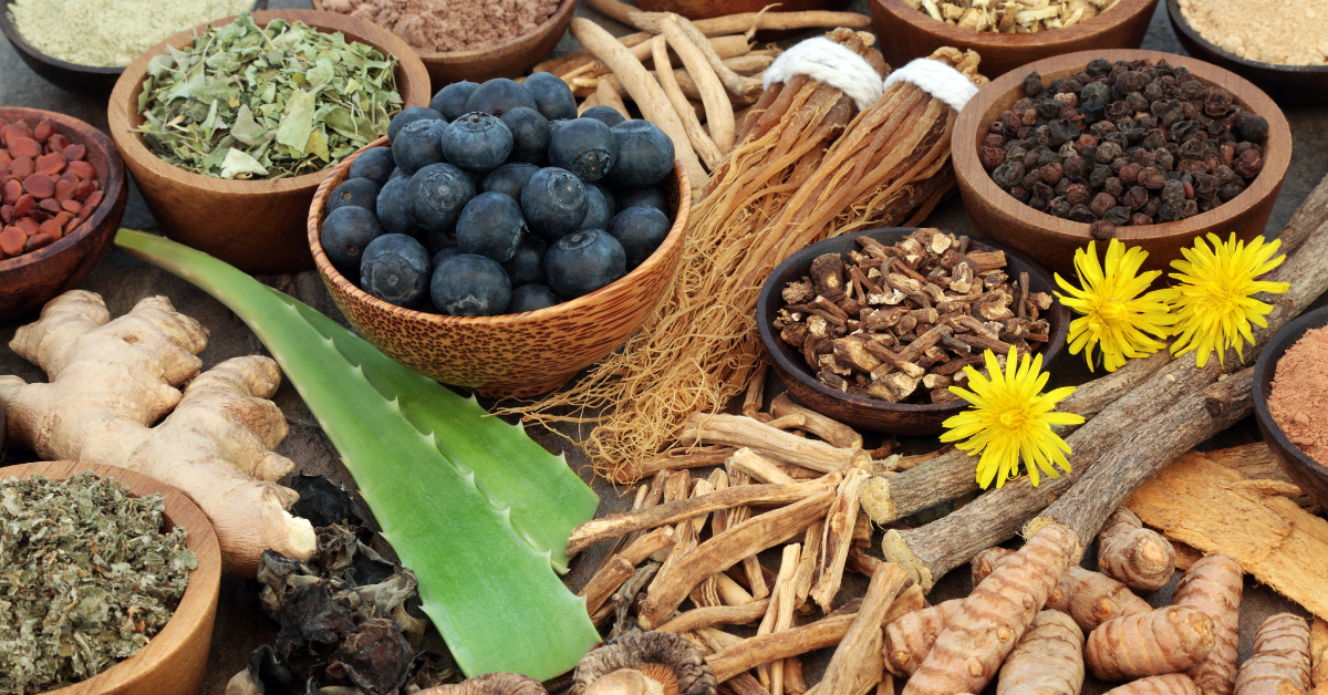 7 Herbs for Stress and Anxiety – Tonicc