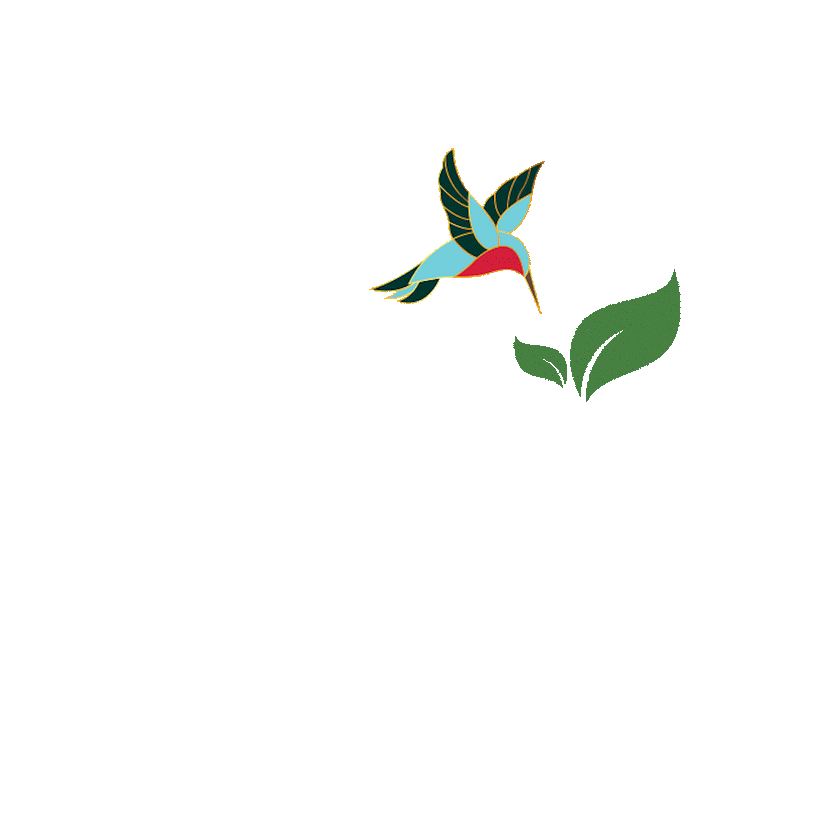 Tonicc Vitality